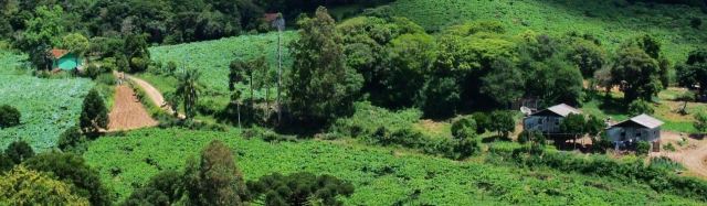 Germans and Italians in the highlands of Brazil’s far south – The World ...